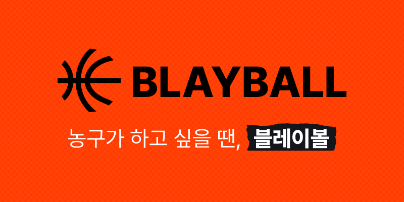 블레이볼(blayball)